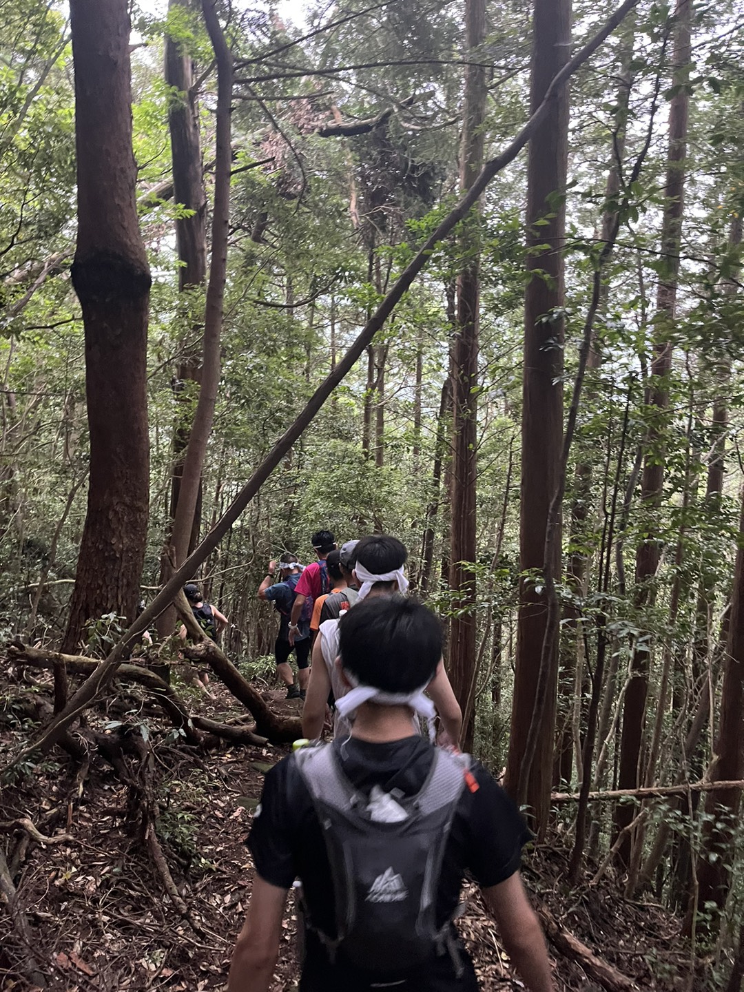 山を走って来ました / キャデック株式会社
